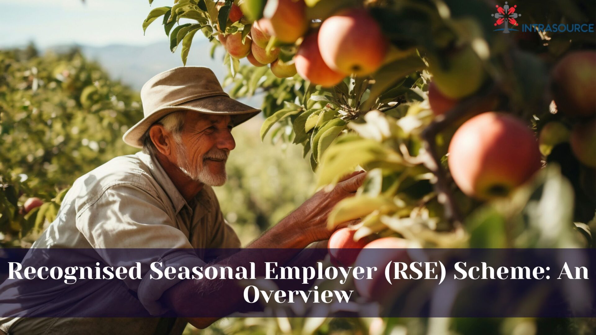 Recognised Seasonal Employer (RSE) Scheme: An Overview - IntraSource
