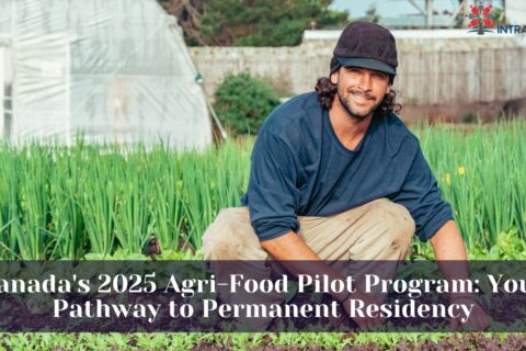 Canada Archives - IntraSource